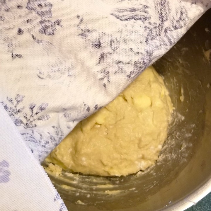 Danish Dough Spirals – Rollos de pasta danesa – My Slice of Mexico