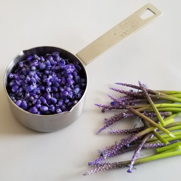 Grape Hyacinth Syrup – My Slice of Mexico