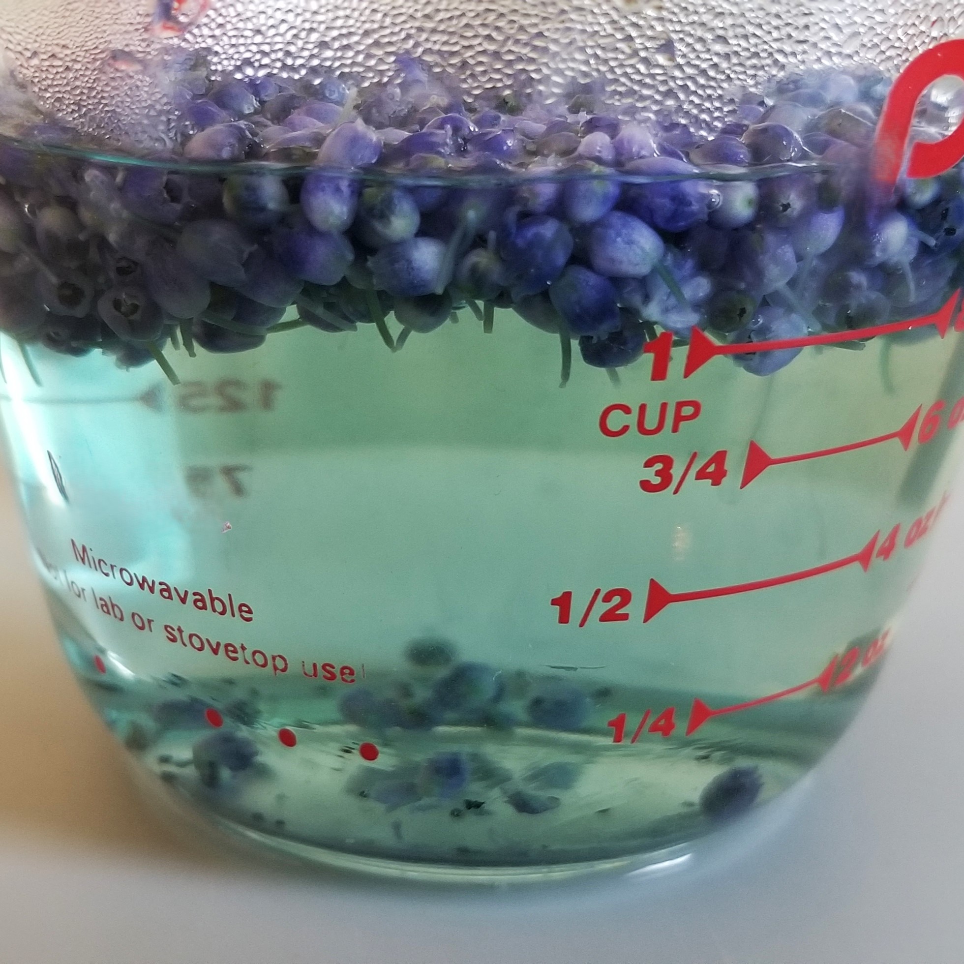 Grape Hyacinth Syrup – My Slice of Mexico