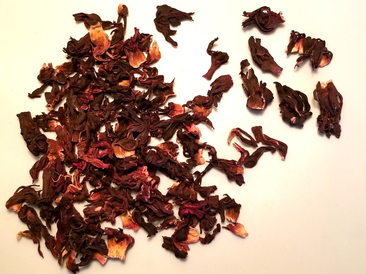 Hibiscus An Edible Plant My Slice Of Mexico