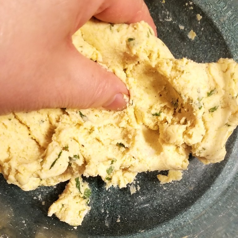 Tesmole – Chicken and Veggie Soup with Corn Dumplings – My Slice of Mexico