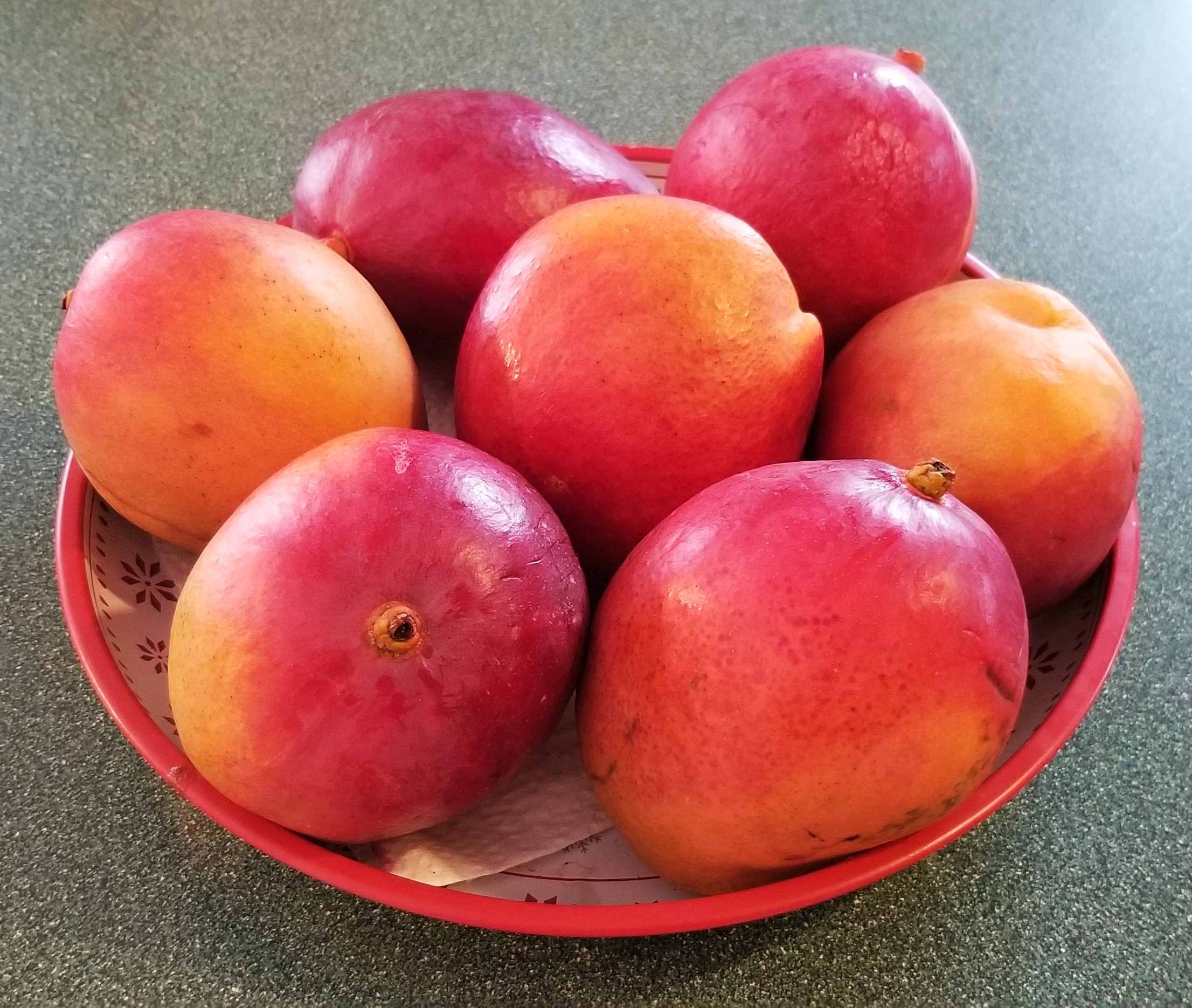 Mango Spread and Tarts – My Slice of Mexico